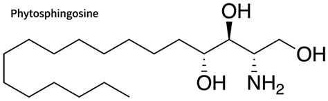 Phytosphingosine Manufacturers Suppliers Factory Low Price