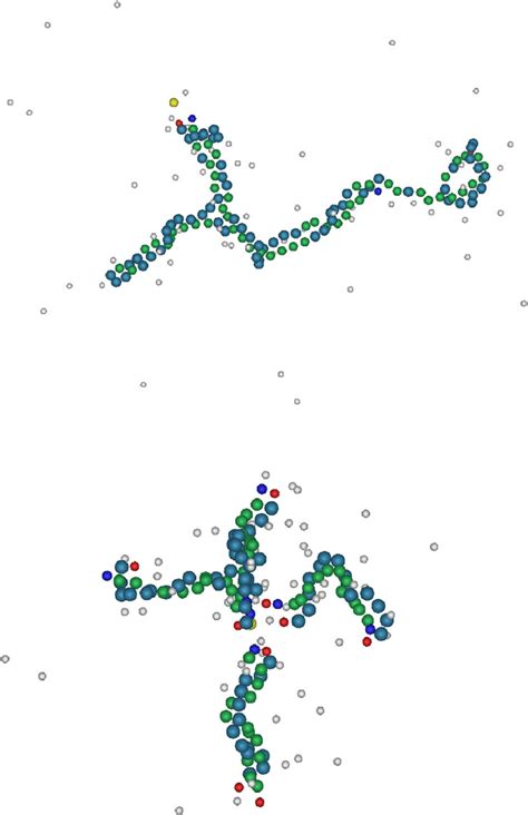 Conformation Of A Two Arms Top And Eight Arms Bottom Semirigid