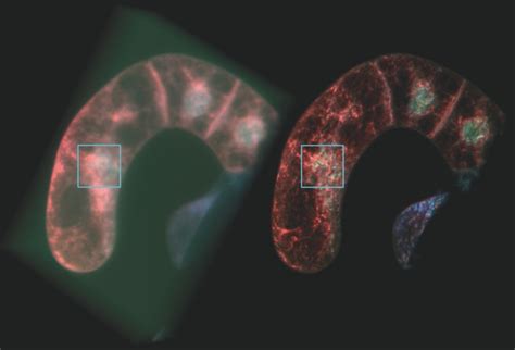 Principle Of 3d Generalization Of Bresenhams Algorithm We Use The Download Scientific Diagram