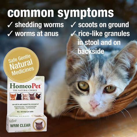 Homeopet Wrm Clear Dewormer For Hookworms Roundworms Tapeworms