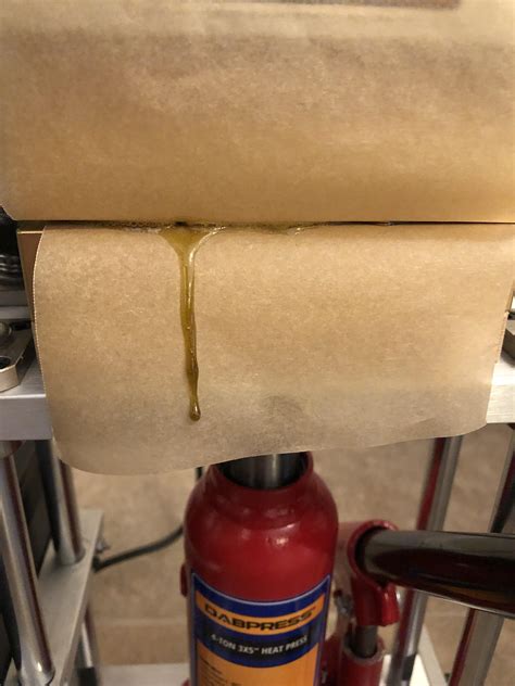 Bubble Gum Shoe Got The Squish Too R Mephheads