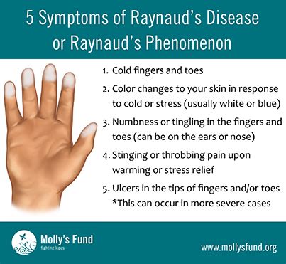 Symptoms Of Raynauds Phenomenon