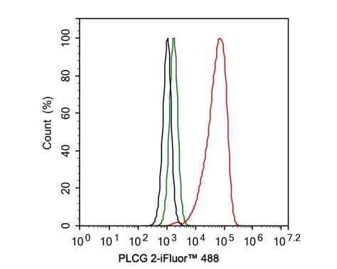 Plc Gamma 2 Antibody Je39 12 Nbp3 32827 Novus Biologicals