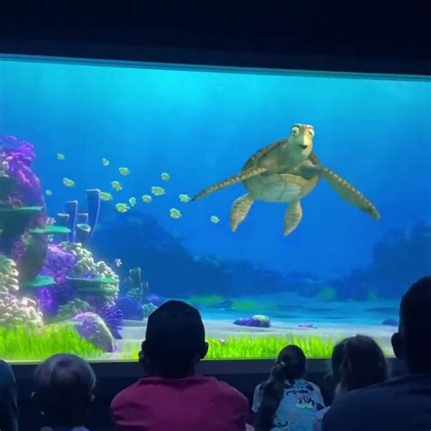 Hidden Mickey Guy Scavenger Hunts For Hidden Mickeys In Disney Parks