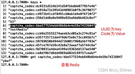 Kaptcha生成验证码、图片通过流的形式响应到前端图片亦流响应给前端 Csdn博客