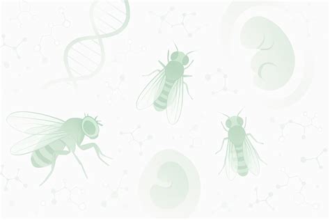 Enhancerpromoter Interactions Become More Instructive In The Transition From Cell Fate