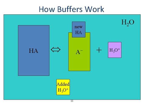 Introduction To Buffers These Solutions Contain Relatively High
