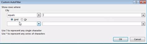 Excel Wildcard Filter