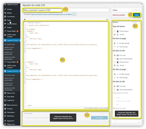 Comment Ajouter Du Css Ou Du Js Dans Son Wordpress Woofrance