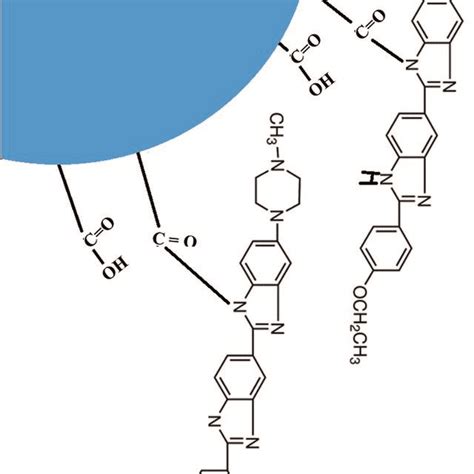 The Proposed Linkage Between Mnp And Hoechst Dye Download Scientific