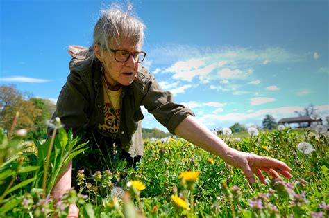 Foraging Revival How Wild Food Enthusiasts Are Reconnecting With