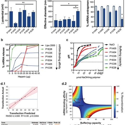 High‐throughput Screening Of Polymer Library For Mrna Delivery A Nps