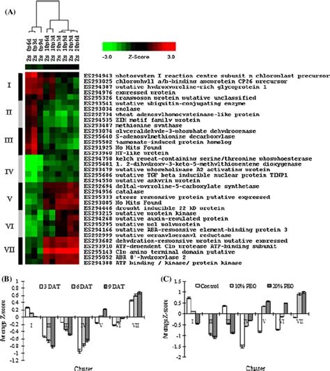 Summary Of Cluster Analysis A Clustering Of The Five Droughtresponsive
