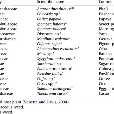 Pdf The Passionvine Mealybug Planococcus Minor Maskell Hemiptera Pseudococcidae And Its