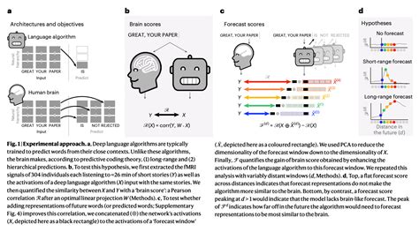 Predictive Programming