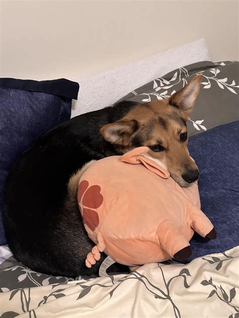 A Forbidden Technique Where I Conceal My Presence And Attack From The