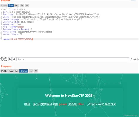 Buuctf Newstarctf 2023 Web题wpnewstarctfweb2023 Csdn博客