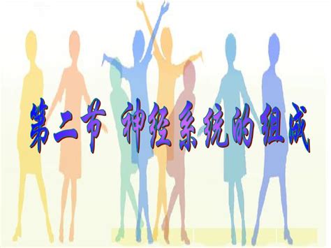 第六章 第二节 神经系统的组成 Word文档在线阅读与下载 无忧文档