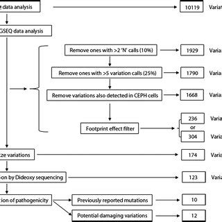 Flow Chart Of The Variation Analysis Download Scientific Diagram