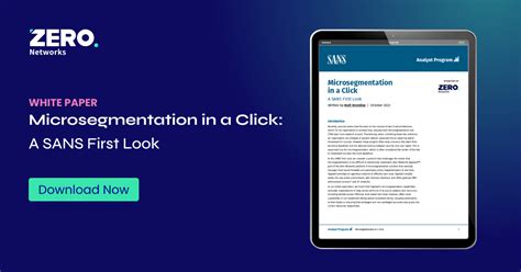 Microsegmentation In A Click A Sans First Look Zero Networks