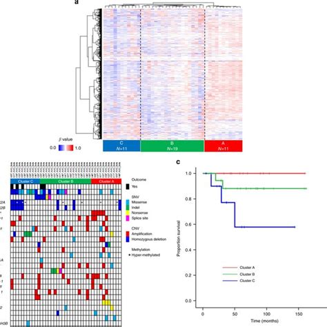 Dna Methylation Profiling And Integrated Analysis A Unsupervised