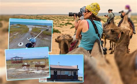 Монгол Улс сая жуулчин хүлээж авахад бэлэн биш Newsmn