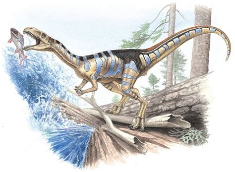 Masiakasaurus Pictures And Facts The Dinosaur Database