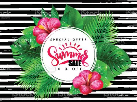 벡터 일러스트 레이 션 히 비 스커 스 꽃과 열 대에 둘러싸인 텍스트 글자 손으로 여름 판매 배너의 잎몬스 테라 팜 Aralia