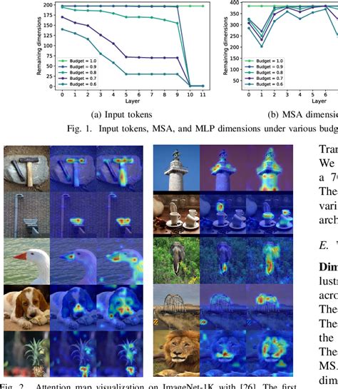 Figure 1 From Dynaslim Dynamic Slimming For Vision Transformers Semantic Scholar