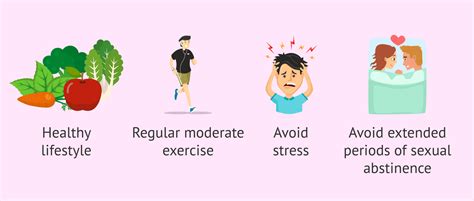 Male Fertility Parts And Functions Of The Male Reproductive System