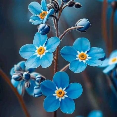 Dental House 🔎 ხიდისებრი პროთეზი ანუ ხიდი კეთდება Facebook