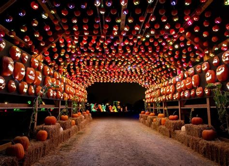 12 Pumpkin Festivals This Fall 2025 Around Toronto And Ontario