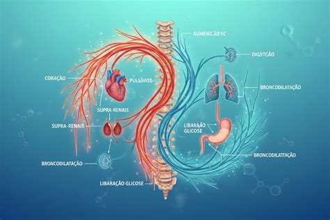 Respiração E Sistema Nervoso Autônomo Ciência Completa Tdm Terapia