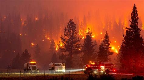 Unscientific Emergency Wildfire Hysteria Logging Of Plumas And Other