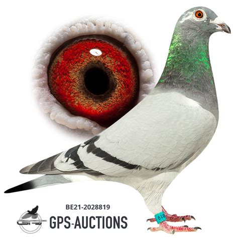 Yvan Van Den Bossche Part 1 Gps Auctions