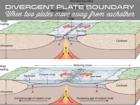Plate Tectonics By Brian Vandeusen