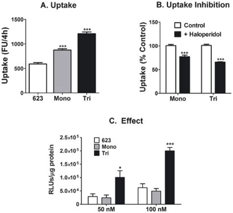 Targeted Intracellular Delivery Of Antisense Oligonucleotides Via