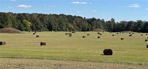 Pharr Indian Mounds Natchez Trace