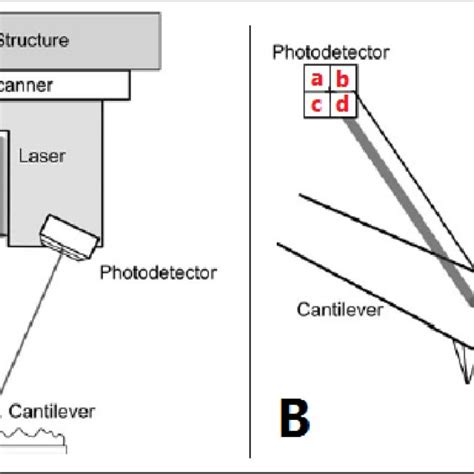 Summary Of Edx Characterization Download Table