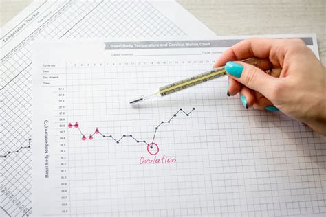 How Ovulation Test Kits Can Help You Get Pregnant Being The Parent