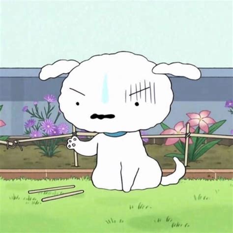 小白 高清图片堆糖美图壁纸兴趣社区