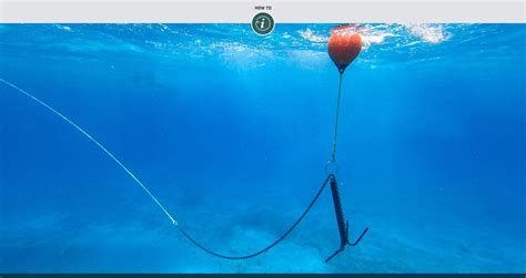 How To Rig An Anchor For Fishing Mercury Marine