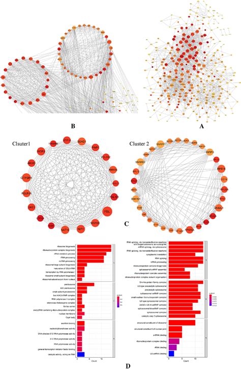 Ppi Network Of Most Significant Genes Two Cluster Modules Extracted By