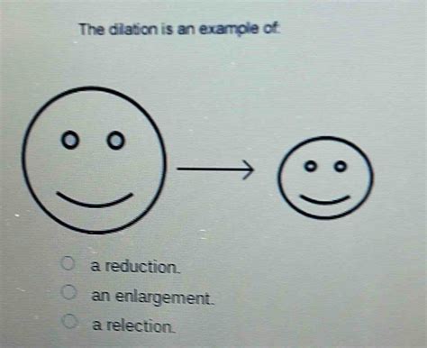 Solved The Dilation Is An Example Of A Reduction An Enlargement A Relection Math