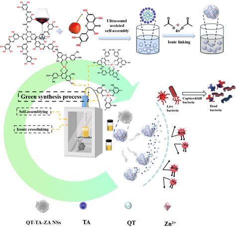 Quercetin Nanoarchitectures With Dual Bioactivity Synergistic Antioxidant And Antibacterial