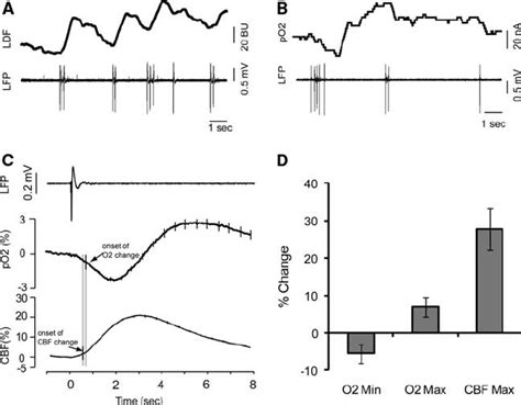 Example Of The Raw Data Before Averaging A LDF Probe Measures The Download Scientific
