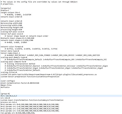 The Inference Works Outside Of The ROI Set By Nvdspreprocess DeepStream SDK NVIDIA