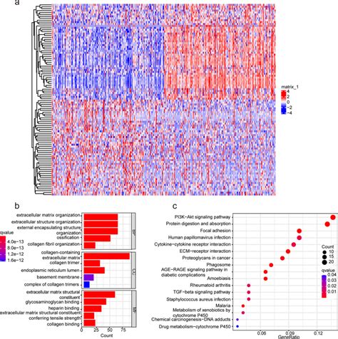 DEGs And Functional Analysis A Heatmap Of 50 DEGs B GO Enrichment