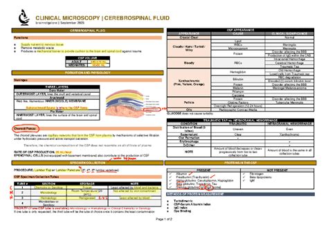 Csf Clinical Microscopy Summary Notes For Csf Functions And Analysis