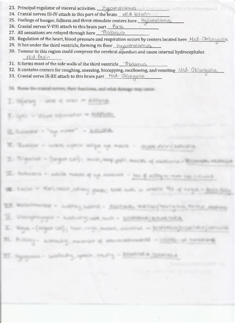SOLUTION Nervous Tissue Nervous System Studypool